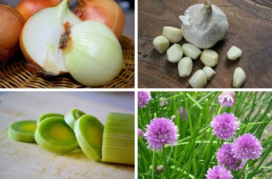 Bulb vegetables – Tomappo blog